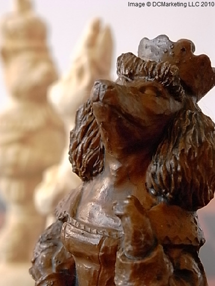 Beginners chess sets and chess sets for children.